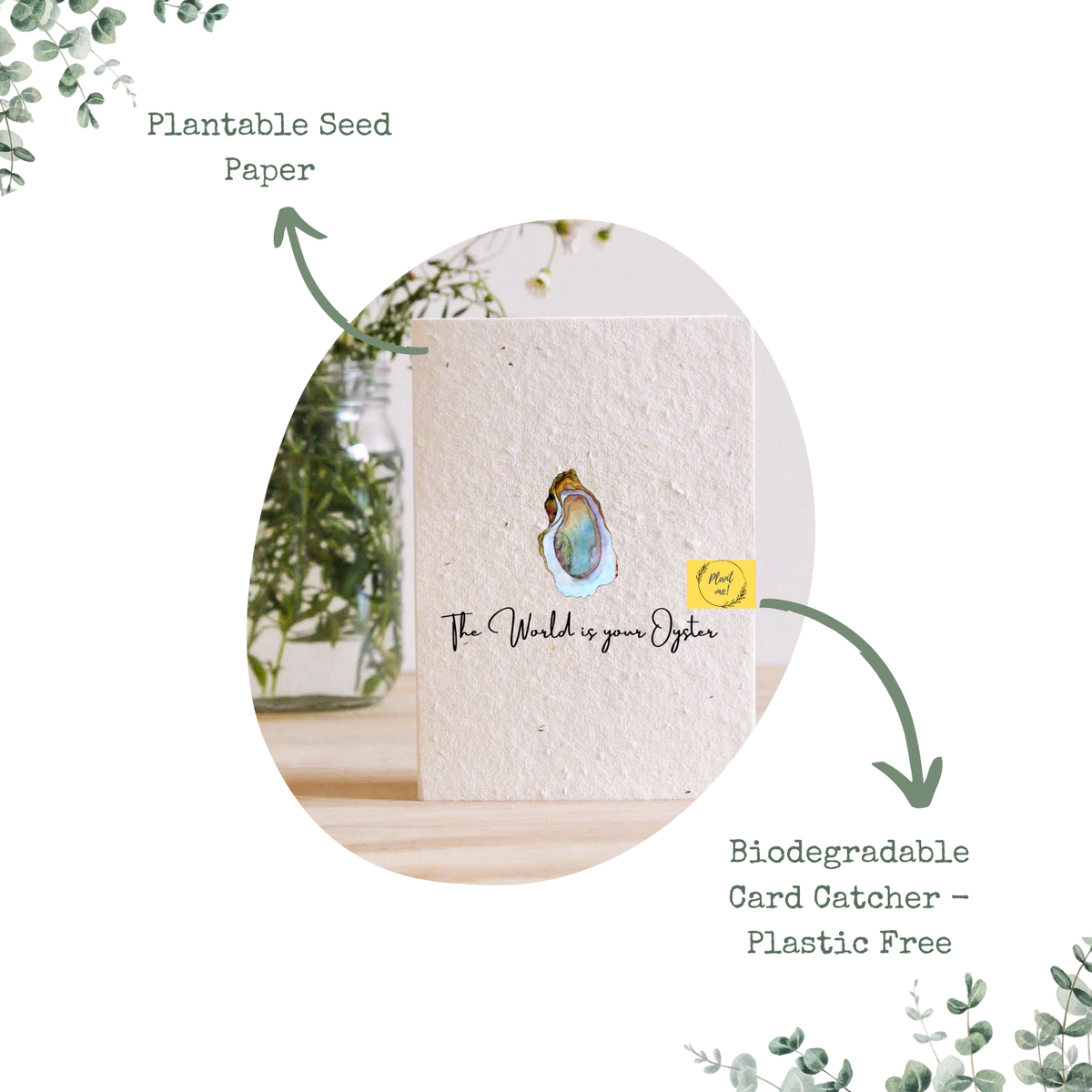 CAN'T WAIT TO WATCH YOU GROW - PLANTABLE SEED CARD – Love Ireland Gift Co